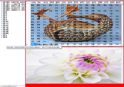 Winform有没有比较好看美观的ui界面插件？ Csdn社区