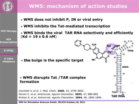 Ppt Hiv 1 Tat Mediated Transcription As Attractive Intervention Site