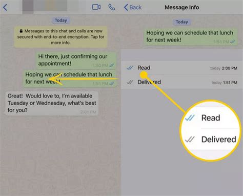 What Does WhatsApp Check Mark Mean