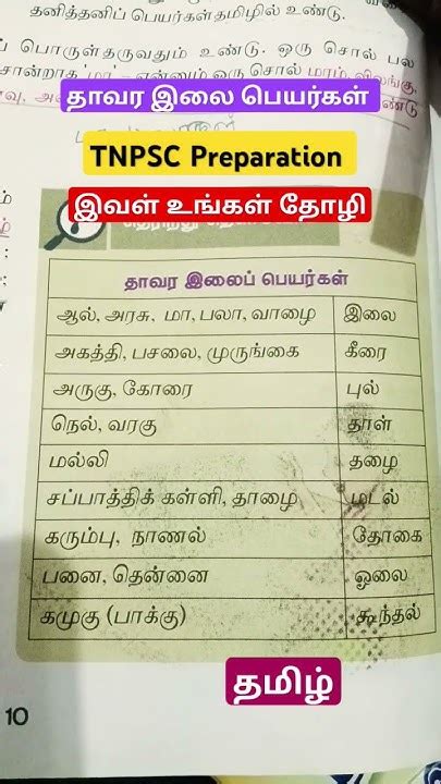 தாவர இலை பெயர்கள் India Motivation Love Tnpsc Tamil Nature Song Gk Trending Shorts