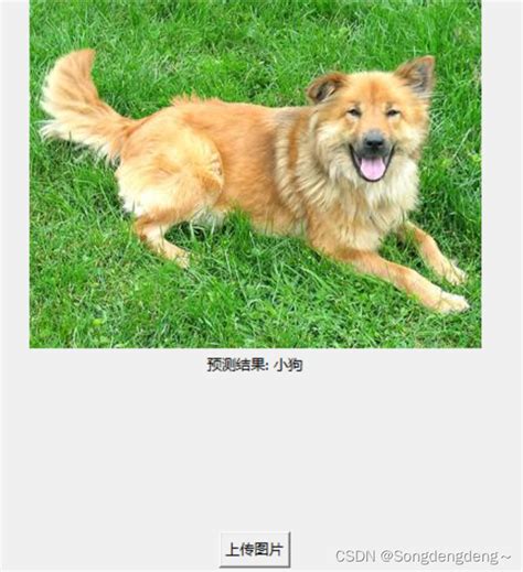 【intel校企合作课程】resnet18实现猫狗大战（猫狗识别）如何构建resnet18模型实现猫狗分类优化应该怎么做 Csdn博客