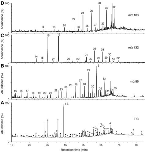 Gc Chromatogram