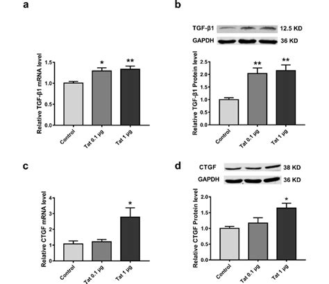 Tat Upregulates Tgf β1 And Ctgf Expression In Mouse Myocardium A