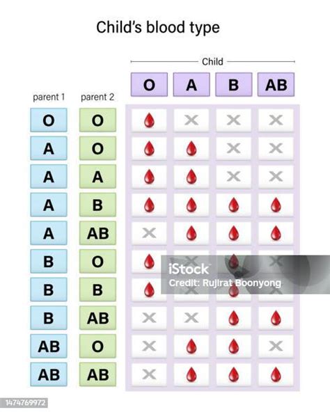 Tableau Des Groupes Sanguins De Lenfant Groupe Sanguin De Bébé À Usage Médical Et Éducatif