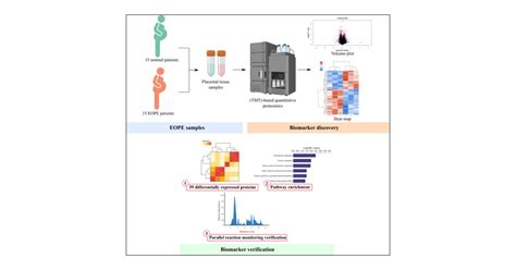 Proteomic Analysis Reveals Differential Protein Expression In Placental