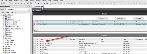 hellosiebelworld how to create siebel like custom tables s or