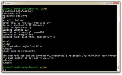 Cyber Security Svcte Metroed 2016 2017 Python Basic Requests