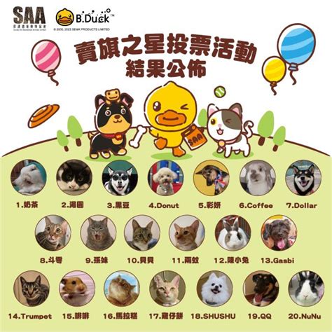 慈善活動｜saa賣旗日2023 X Bduck賣旗活動 義工招募／網上支持 2023年6月10日 Iplayhk 香港愛玩生