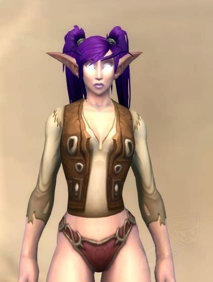 Burglar S Vest Item World Of Warcraft