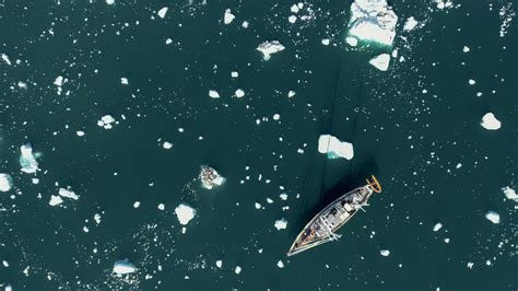 Donald Trumps Fixation With Greenland Explained Current Edge