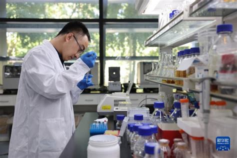 新华全媒｜中国科学家实现从二氧化碳到糖的精准全合成 精彩图片 东南网