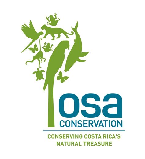 Conservation Careers On Linkedin Marine Biologist Biólogoa Marino