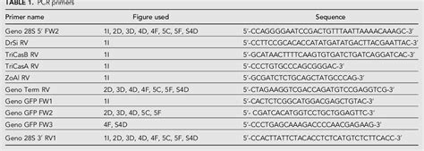 Table 1 From Structure And Sequence At An Rna Template 5′ End Influence