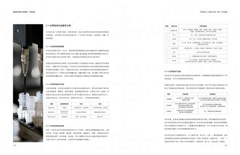 SHARAY内刊第三期 企业内刊 携光