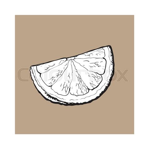 Segment Drawing At Getdrawings Free Download
