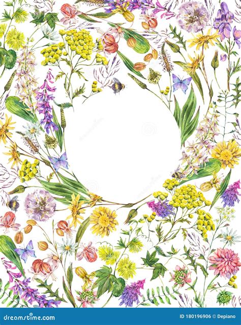 水彩夏草甸花框、野花贺卡 库存例证 插画 包括有 查出 庭院 医学 看板卡 土气 绽放 收集 180196906