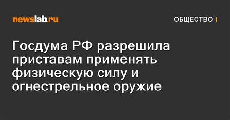 Госдума РФ разрешила приставам применять физическую силу и