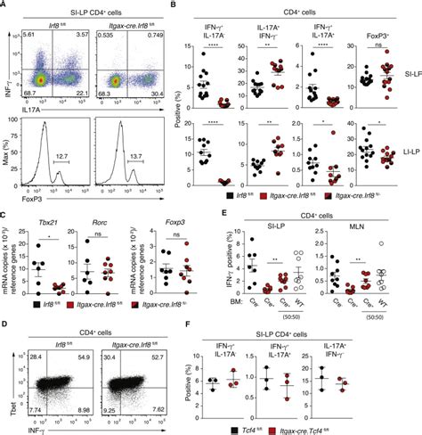 IRF8 Transcription Factor Dependent Classical Dendritic Cells Are