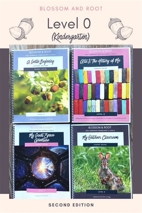 Kindergarten Curriculum Artofit