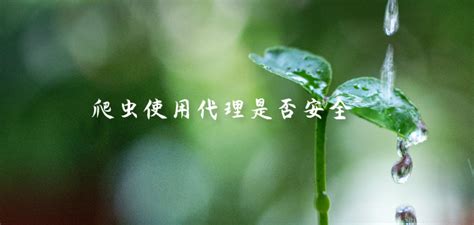 爬虫使用代理是否安全 知乎