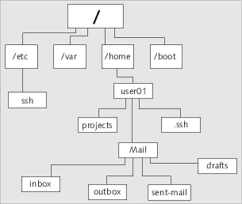 Rheinwerk Computing Linux Dateisysteme
