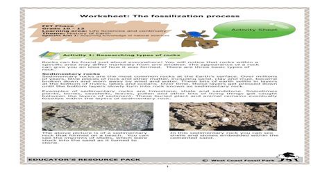 Pdf Worksheet The Fossilization Process Dokumentips