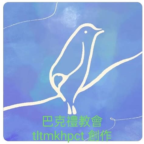 民眾黨 政治獻金 錯帳 後 撤告的嗎？（2024年4月 監察院就通知民眾黨了）