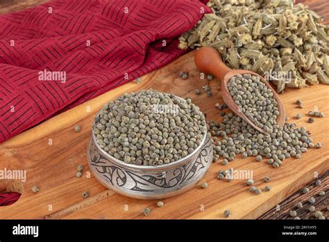 Okra Seeds Large Quantity Of Organic Okra Seeds Detail Of Dried Okra