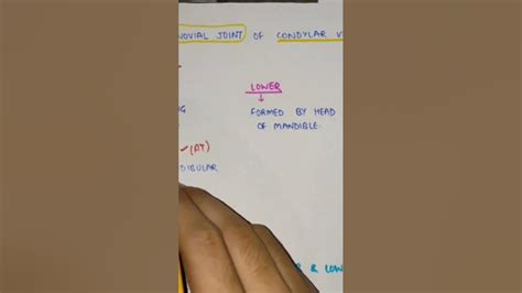 Anatomy Of Temporomandibular Joint Tmj Head And Neck Gross Anatomy