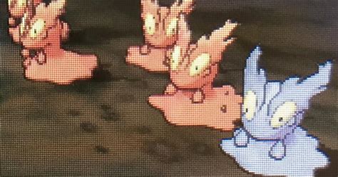 Shiny Slugma Album On Imgur