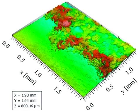 Surface Microtopography Of Pseudo Desublimation Deposits Download