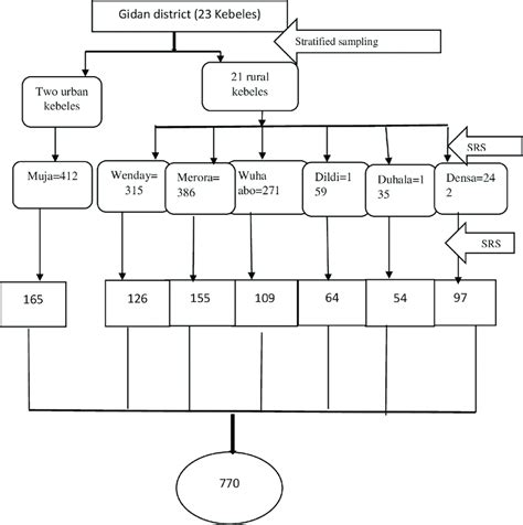 Schematic Presentation Of The Sampling Procedure Download Scientific Diagram