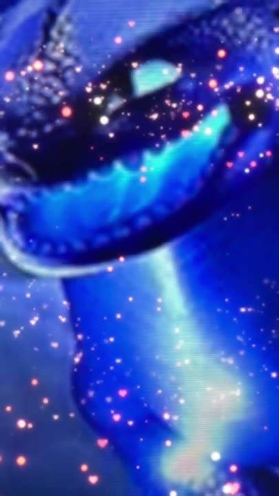 아기드래곤 혼내기 Youtube