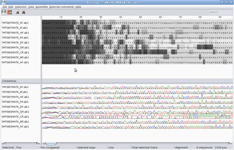 GitHub Andersla Assseq Assseq