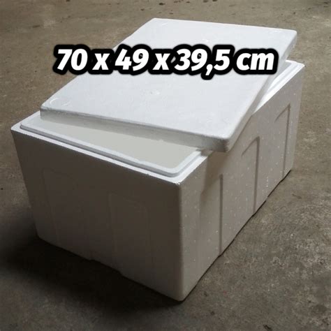 Jual Box Kg Instant Only Styrofoam Box Wadah Ikan Penyimpanan Ikan Packing Frozen Food