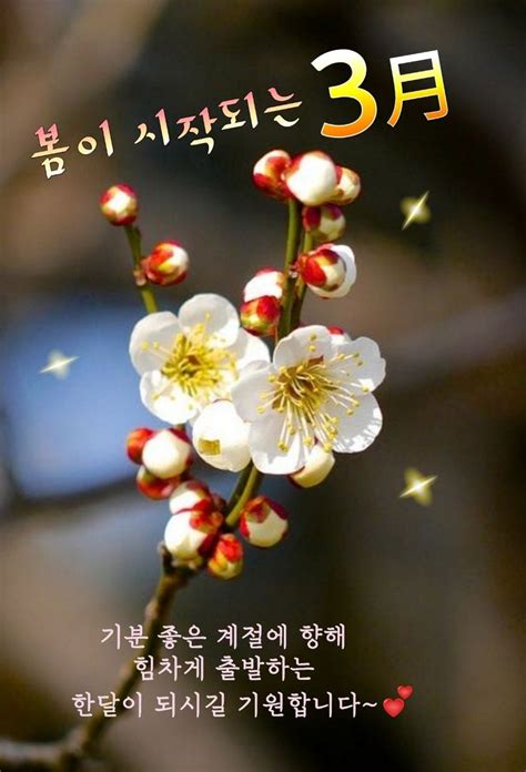 아침 인사에 있는 유경 김님의 핀 생일 축하 이미지 좋은 아침 인사 아침 이미지