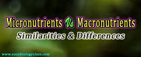 Difference Between Micronutrients And Macronutrients Easybiologyclass