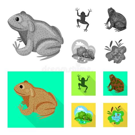Vector Illustration Of Wildlife And Bog Symbol Set Of Wildlife And
