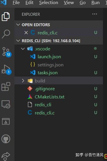 Vscode在win下远程调试linuxcmake（cc）vscode远程linux调试板卡程序 还需要在linux上安装一个什么