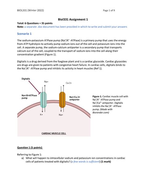Biol Assignment Questions And Figures Biol Assignment Total Questions Points