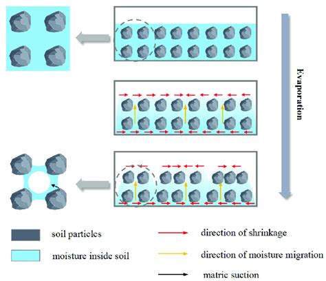 Schematic Diagram Of Specimen Cracking Download Scientific Diagram