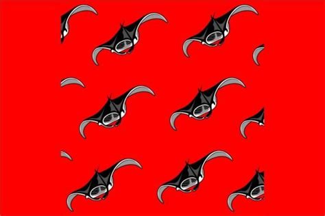Stingray Pattern Graphic By Jellybox999 · Creative Fabrica Stingray Pattern Graphic By Jellybox999 · Creative Fabrica
