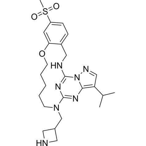 Cdk2 In 28 Cdk2 Inhibitor Medchemexpress