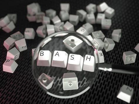 Understanding Variables And Data Types In Linux Shell Scripting By