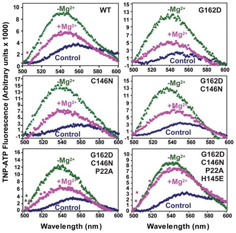 Probing Protein Kinase Atp Interactions Using A Fluorescent Atp Analog Abstract Europe Pmc