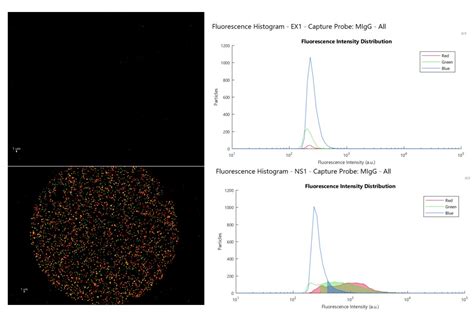 Video Single Particle Interferometric Reflectance Imaging