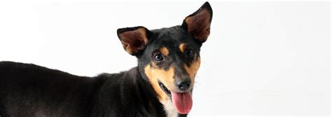 Embark Passion