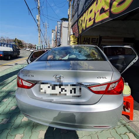 부산자동차썬팅 Yf쏘나타 후면 뒷유리 기포 뽀글이 제거후 열차단90프로 필름 재시공 부산광역시 사상구 괘법동 비즈프로필