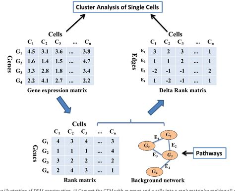 Figure 1 From Improving The Performance Of Single Cell Rna Seq Data