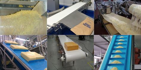 Conveyor Belt For Dairy Industry Inbelts